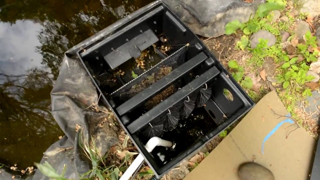 Skimmer Box Pond At Adam Blake Blog