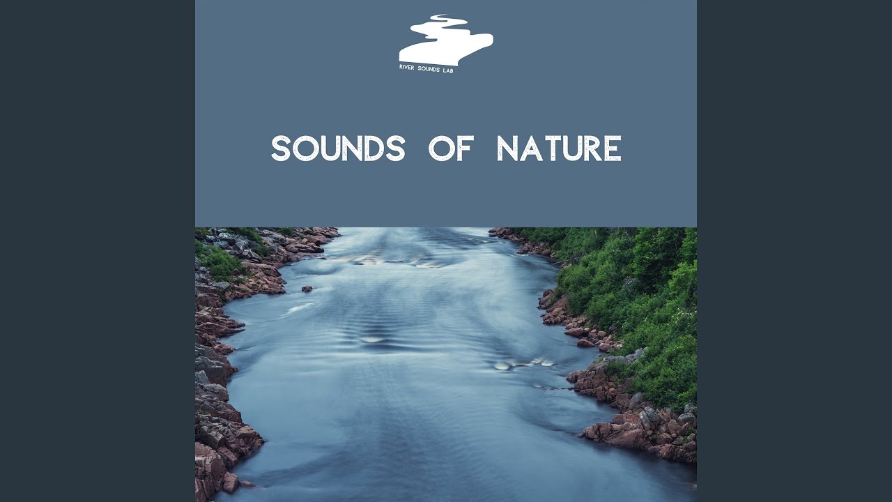Mumbling Stream Youtube Music