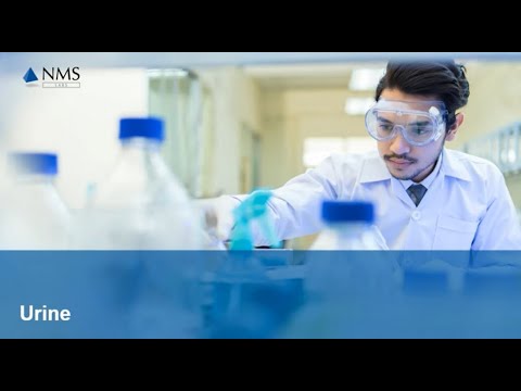 Postmortem Specimen Collection Tips Urine Youtube