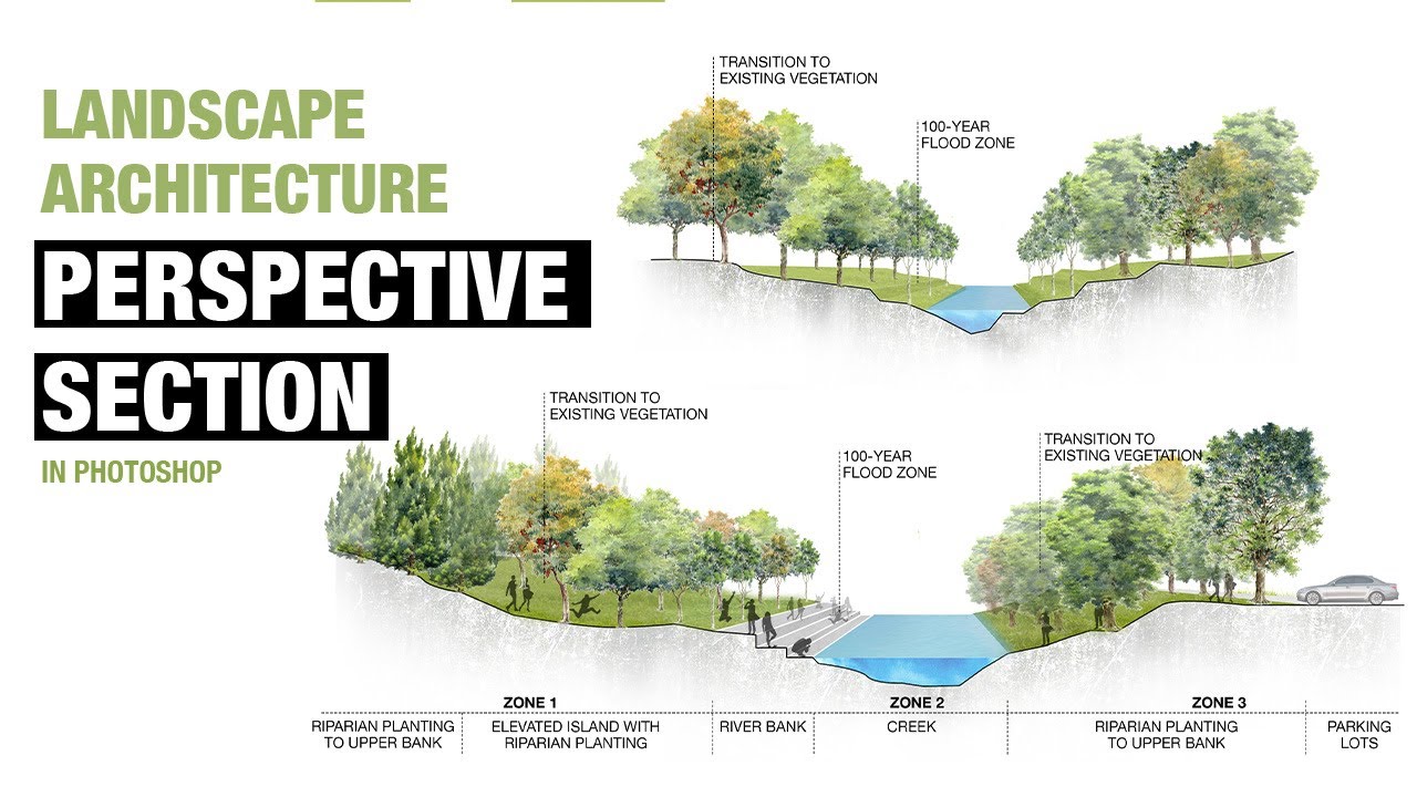 Section Perspective Landscape Xueying Chen Risd Museum Publications