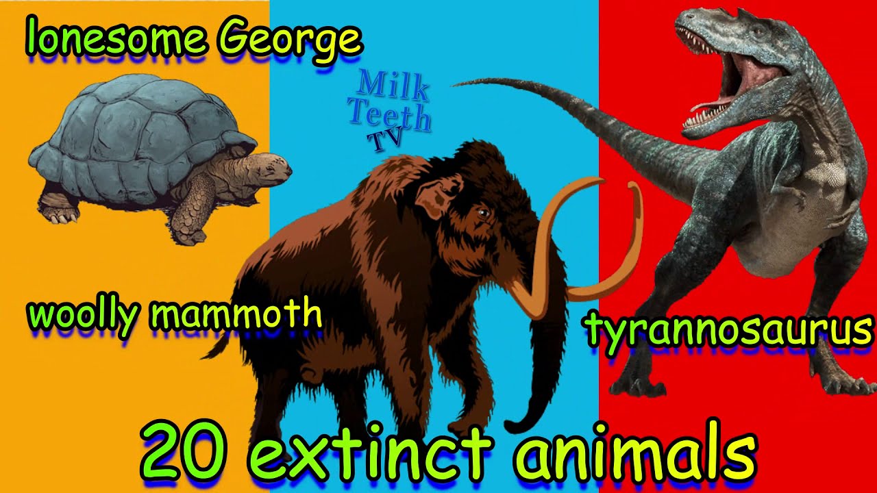 20 Extinct Animals Names With Pictures Youtube