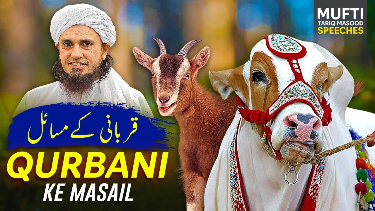 Qurbani Masail Ask Mufti Tariq Masood Youtube