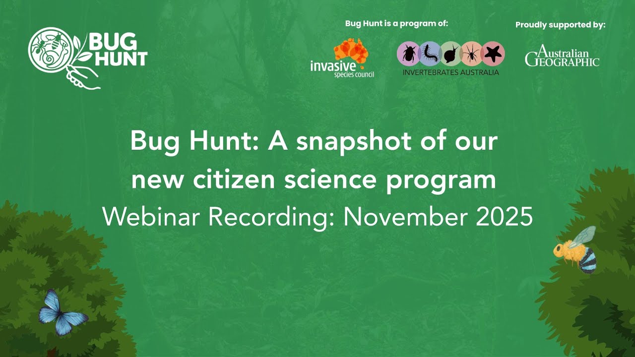 Bug Hunt Webinar Youtube