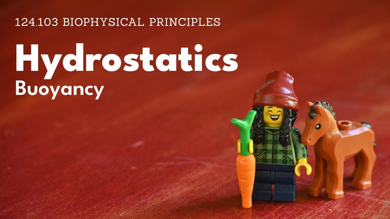 Buoyancy Youtube