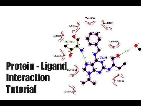 Protein Ligand Interaction Tutorial Youtube