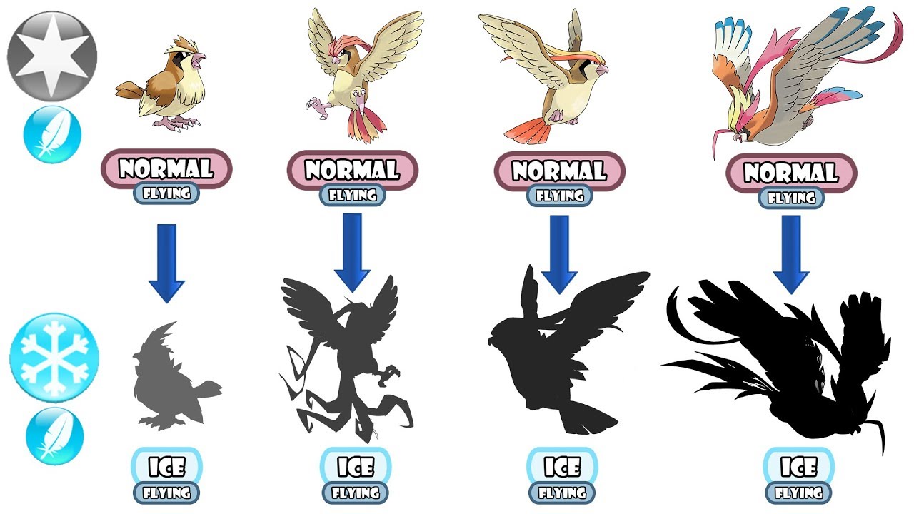 Pidgey Evolution Chart Names
