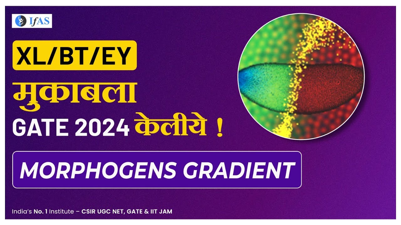 Morphogen Gradients In Gate 2024 Exam Developmental Biology Youtube