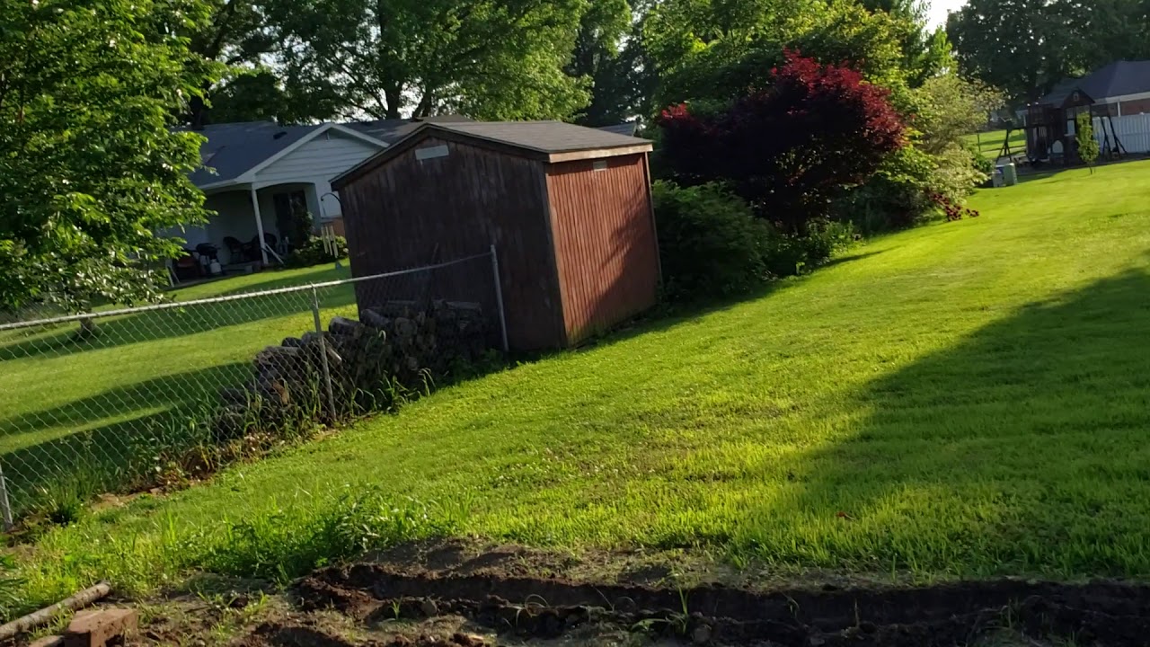 June 2019 Live Feeds Youtube