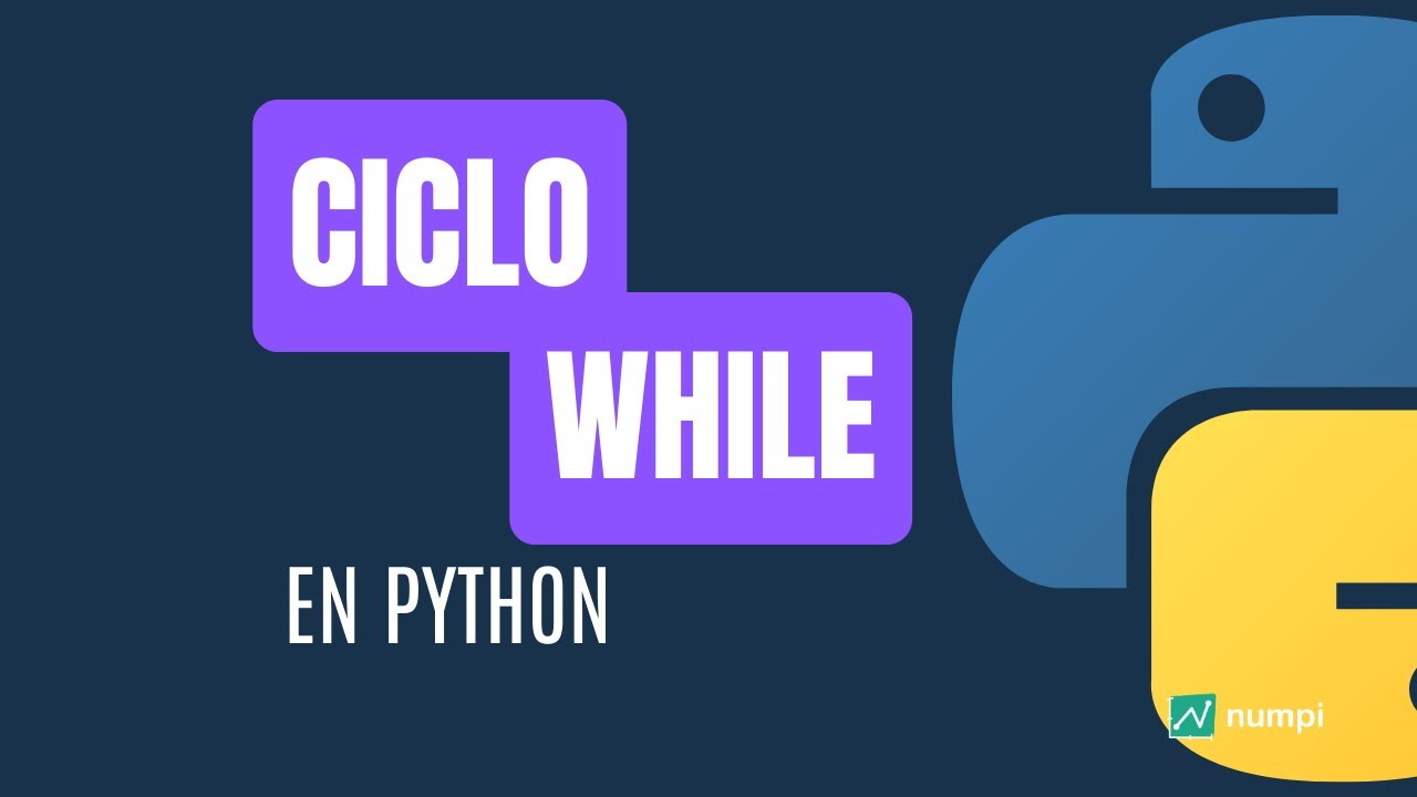 Ciclo While En Python Youtube
