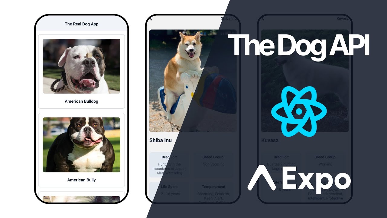 The Dog Api Build A React Native Mobile App Using The Thedogapi Youtube
