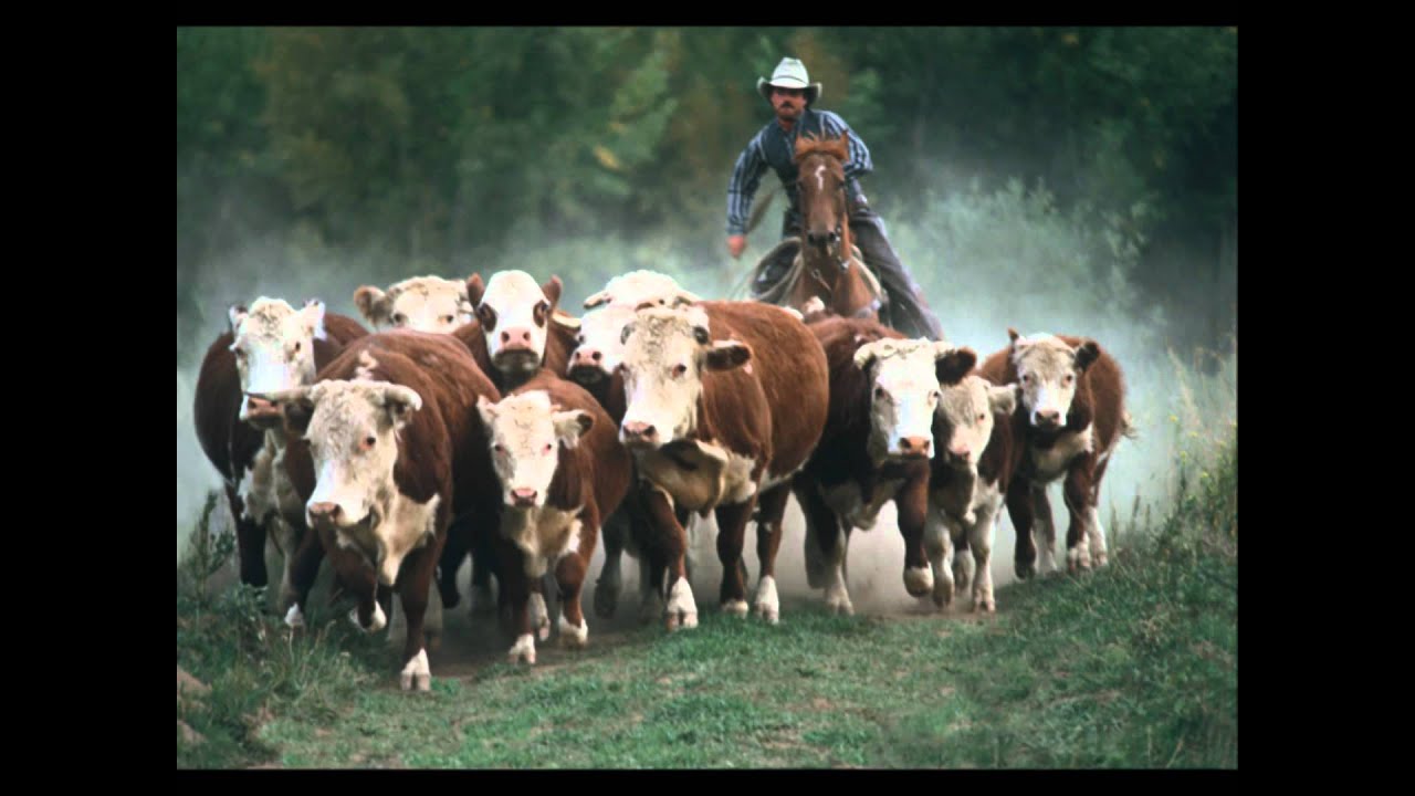 The Cattle Call By Eddy Arnold Youtube