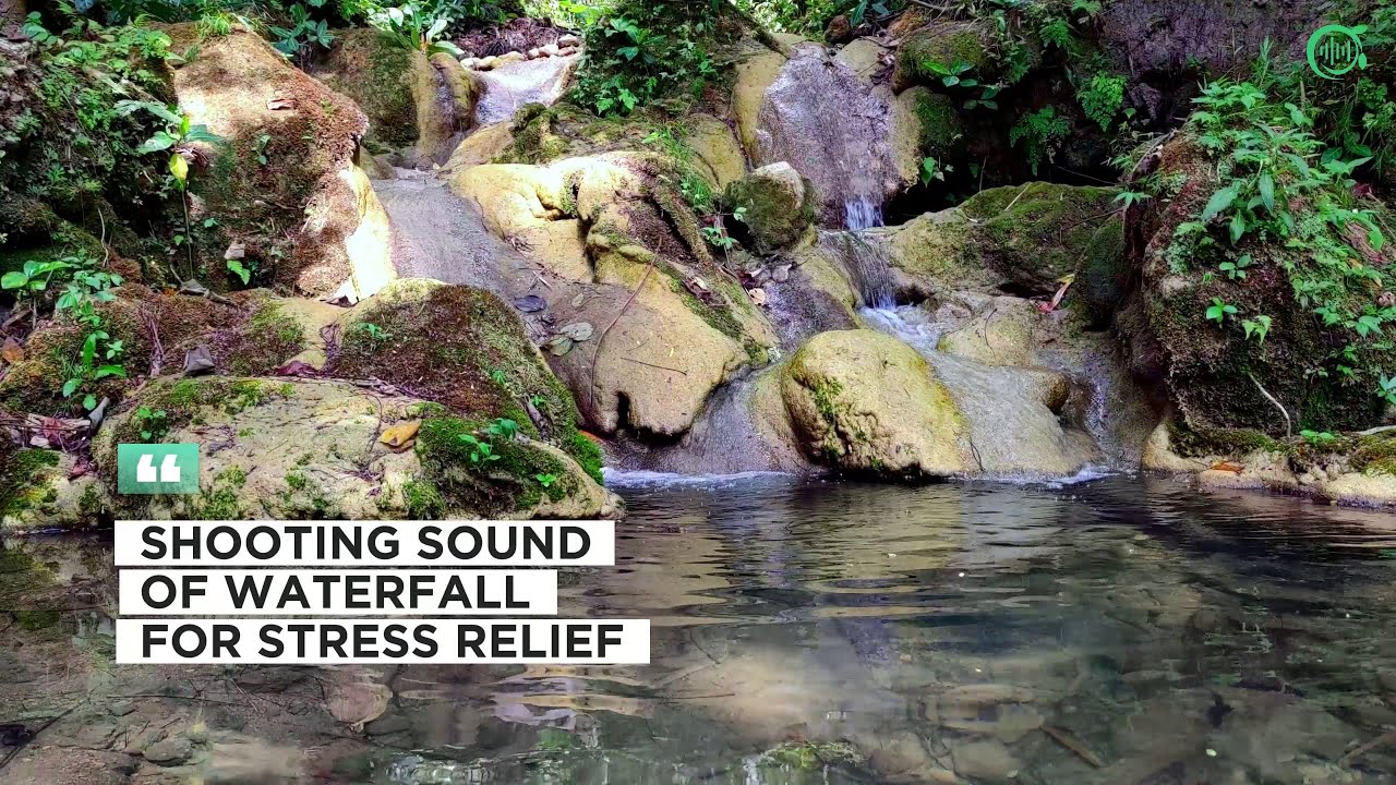 Waterfall Sounds And Bird Chirping For Relaxing Calm Nature Sounds