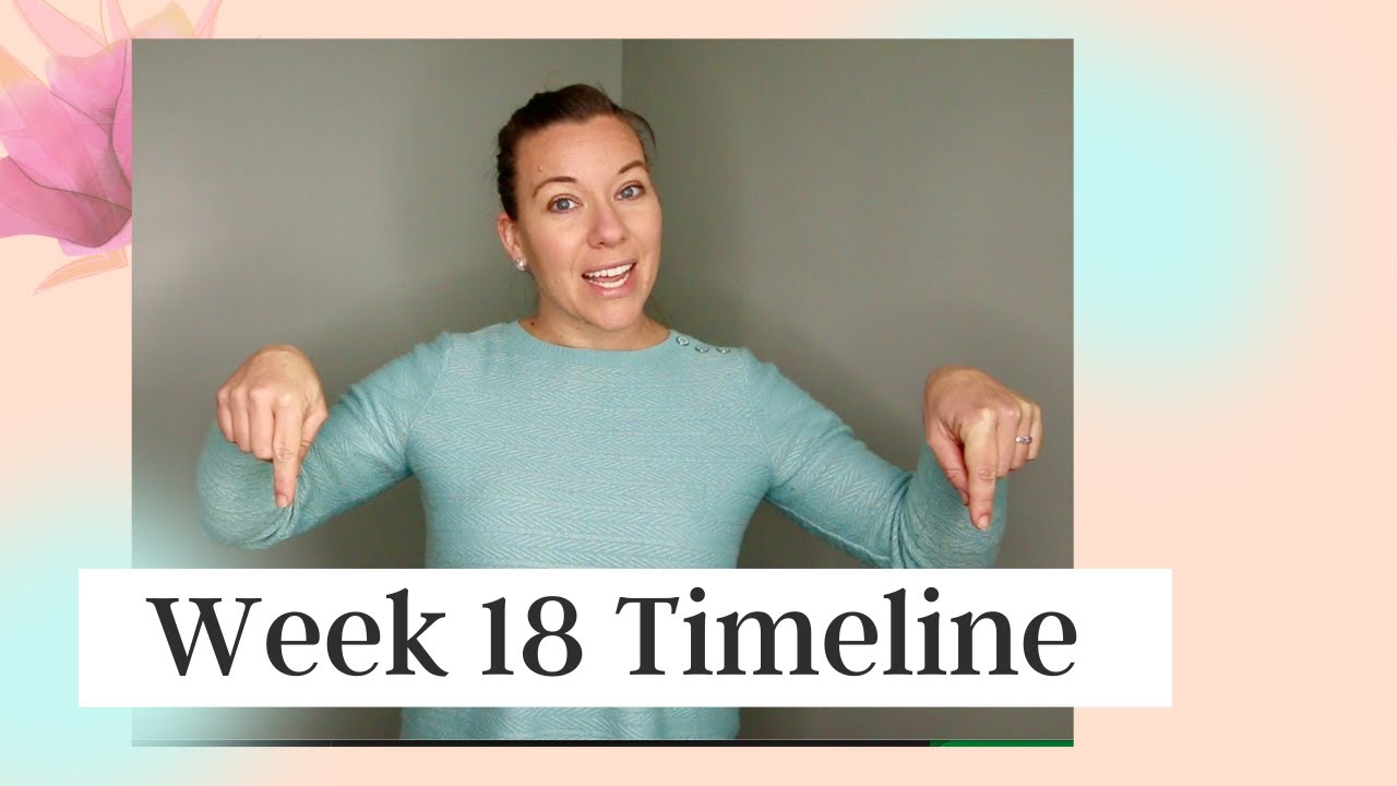 Cc Timeline Week 18 Hand Motions In Asl Youtube