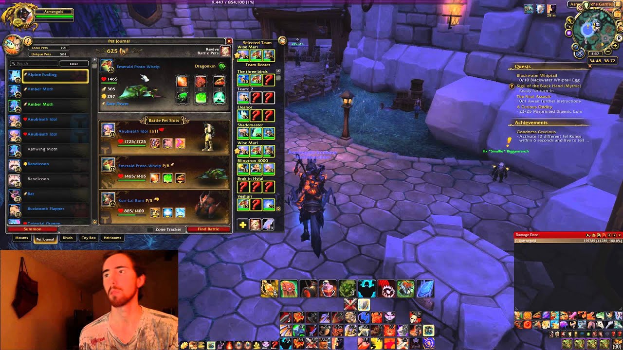 My Top 5 Best Battle Pets For Beginners Youtube