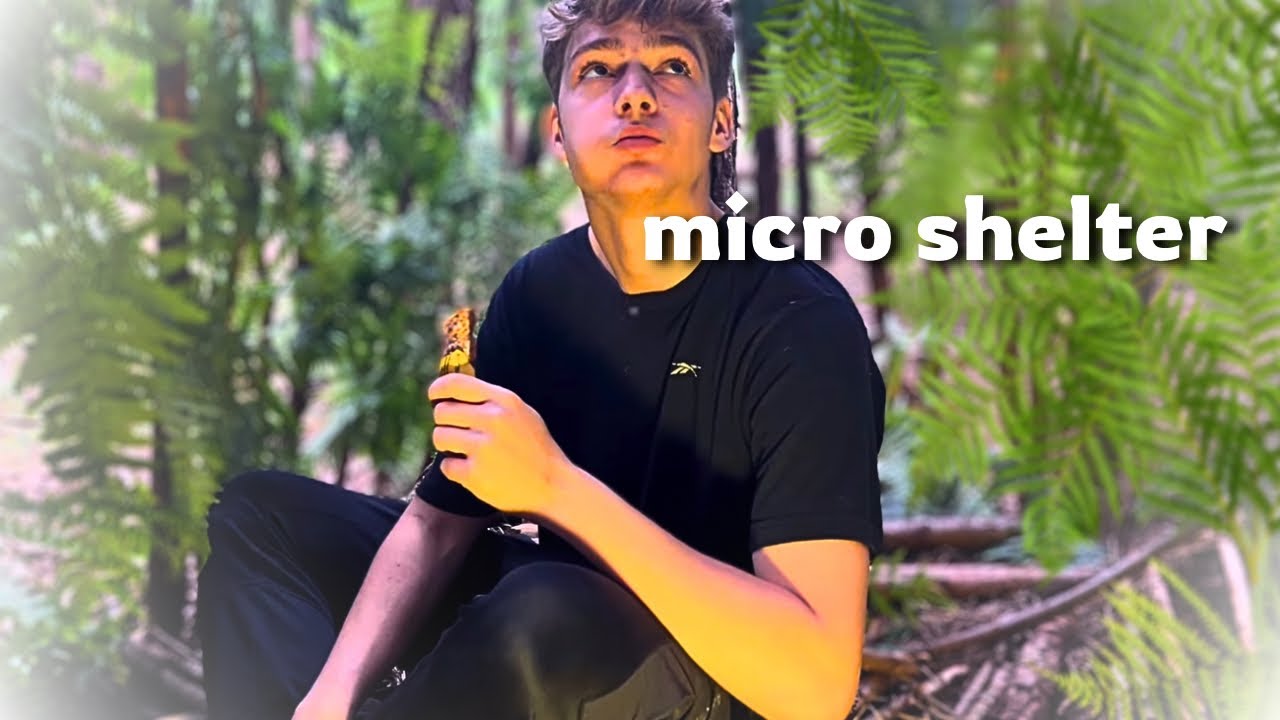 I Built A Survival Shelter Youtube