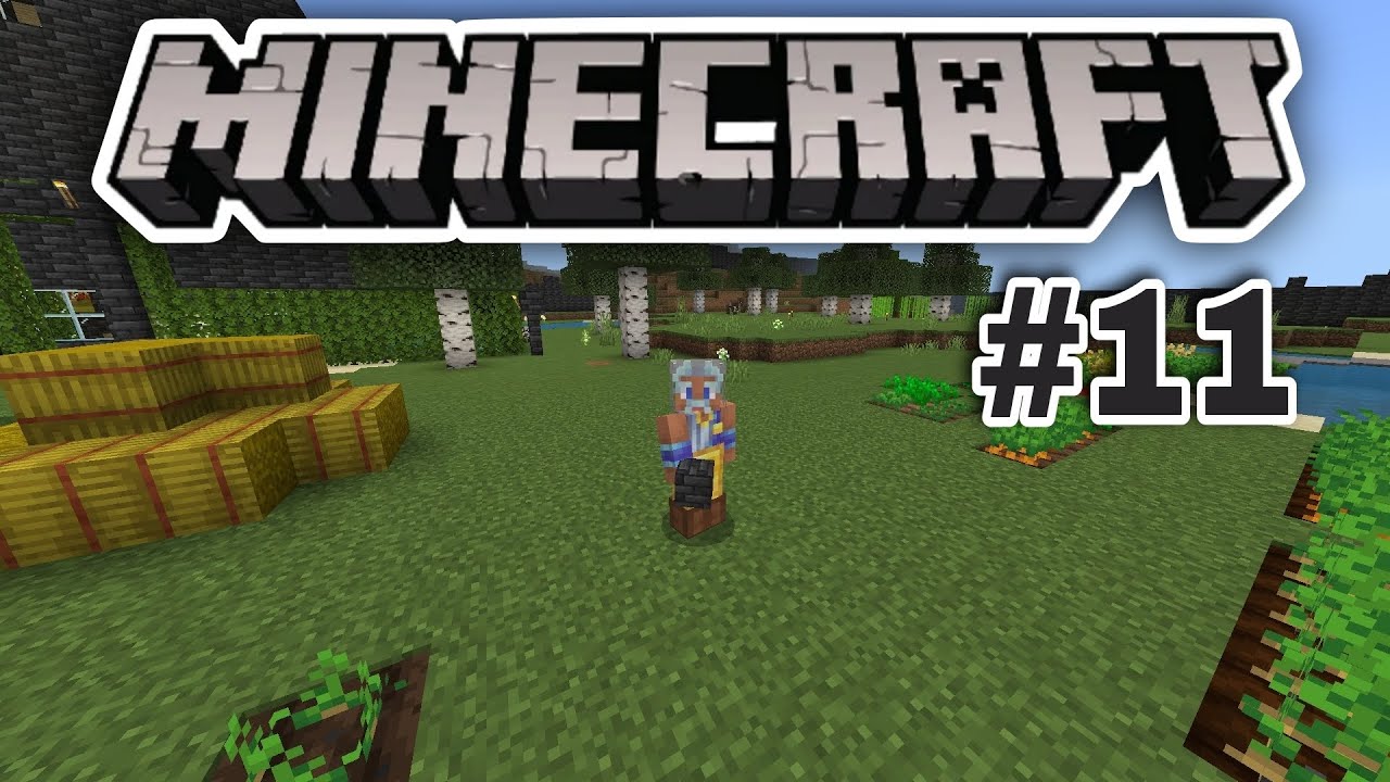 Minecraft 11 Youtube