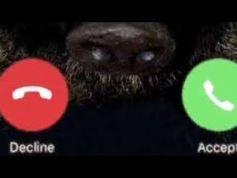 Who Is That Calling Is That A Cute Drooling Feral Hog Youtube