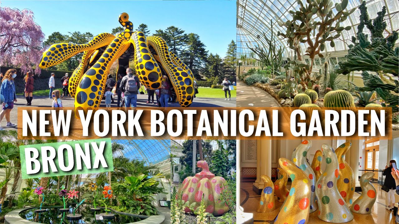 竅ｴ盒ｷ竅ｶ竅ｰ New York Botanical Garden Tour In Spring 2021 Explore Kusama