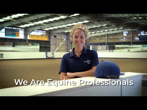 We Are Equine Professionals We Are Reaseheath Youtube