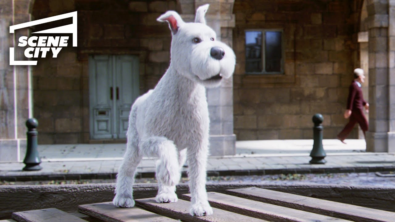 Tin And Tina Dog At Harriet Ridgeway Blog