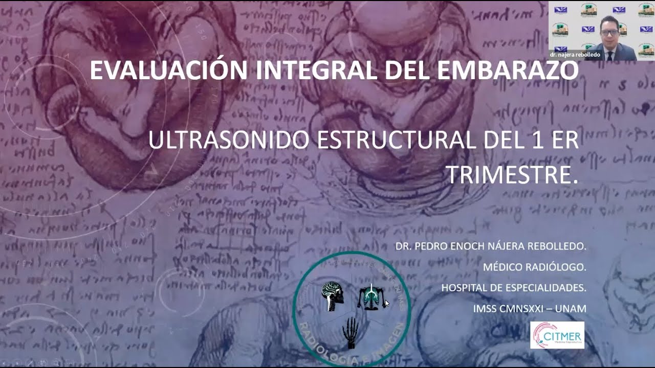 2 1 Ultrasonido Estructural Primer Trimestre Del Embarazo Dr