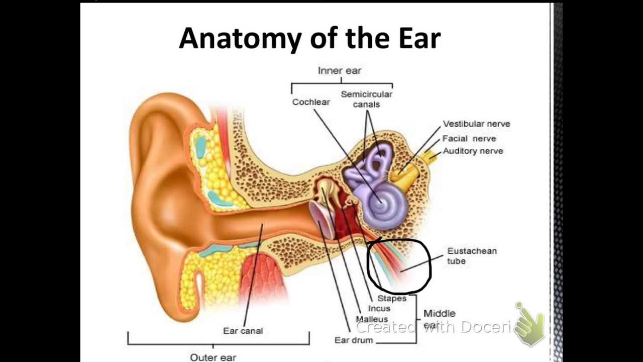 Mastoiditis A Thorough Review Youtube