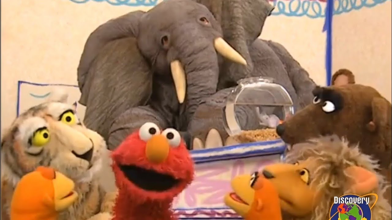 El Mundo De Elmo Animales Salvajes T05 E04 Youtube