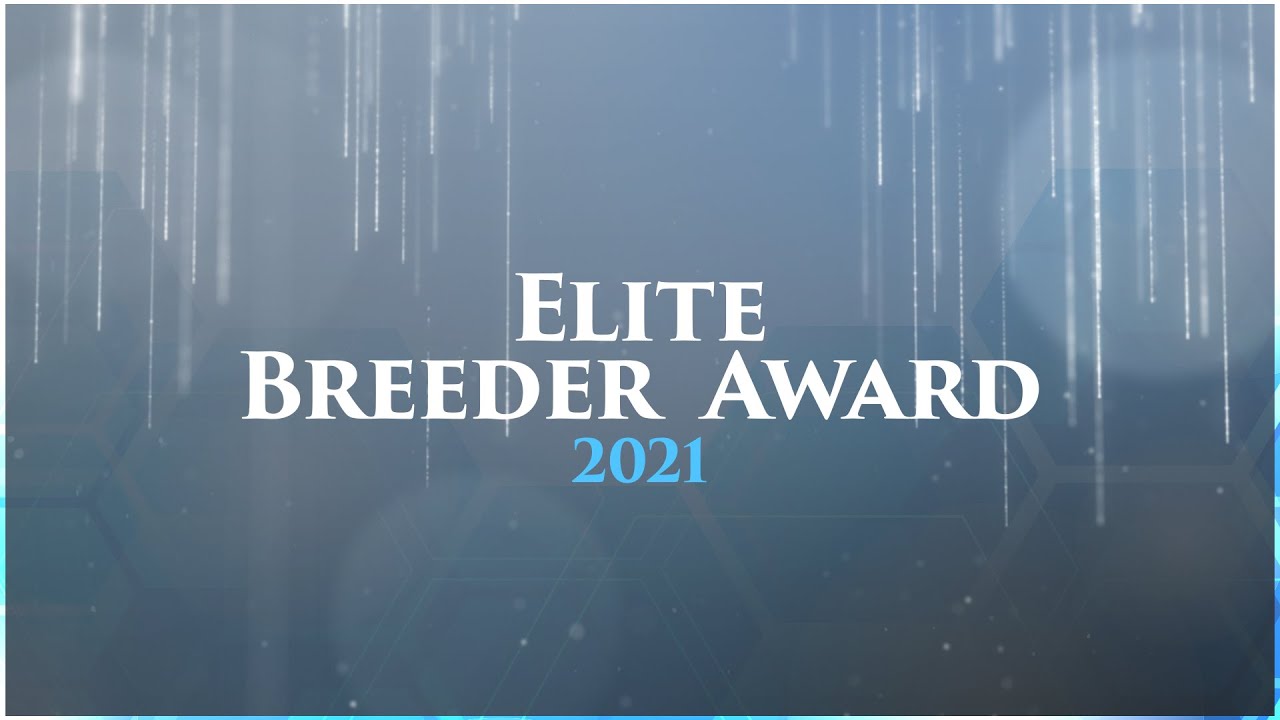 2021 Elite Breeder Award Youtube