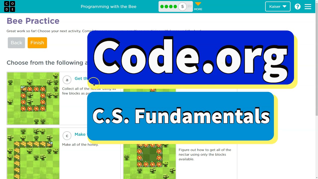 Code Org Course F Lesson 11 Programming With The Bee All Practice