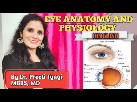 Eye Anatomy Physiology Youtube
