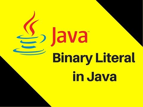 4 4 Binary Literal In Java Empower Youth