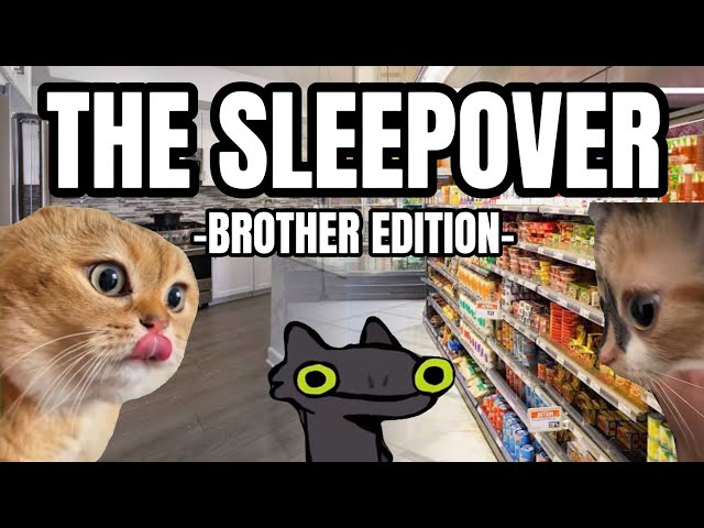 Sleepovers Memes Cat Memes The Sleepover Pt 1