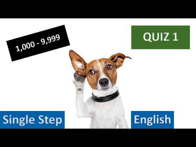 Numbers Quiz About Numbers General English Esl Video Lessons