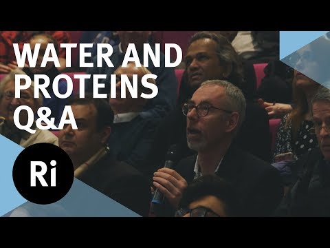 Q A The Physics Of Life How Water Folds Proteins With Sylvia