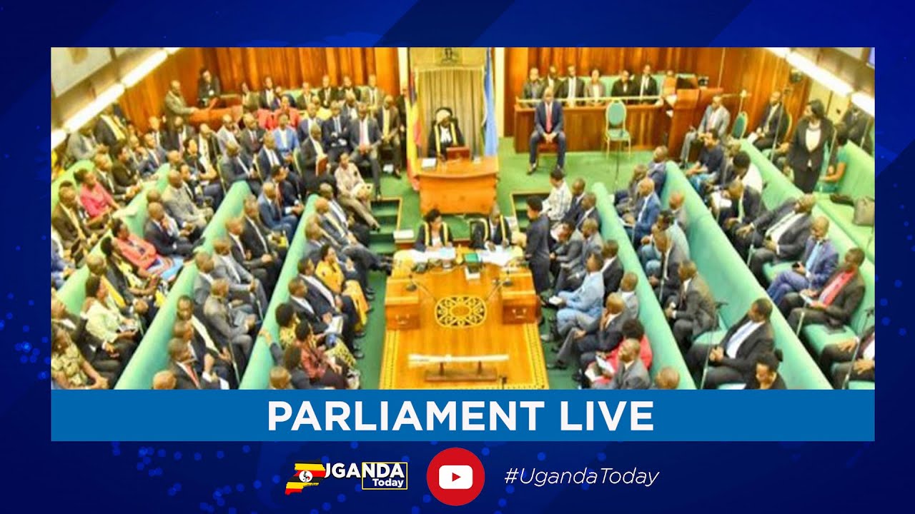 Live Parliament In Session Youtube