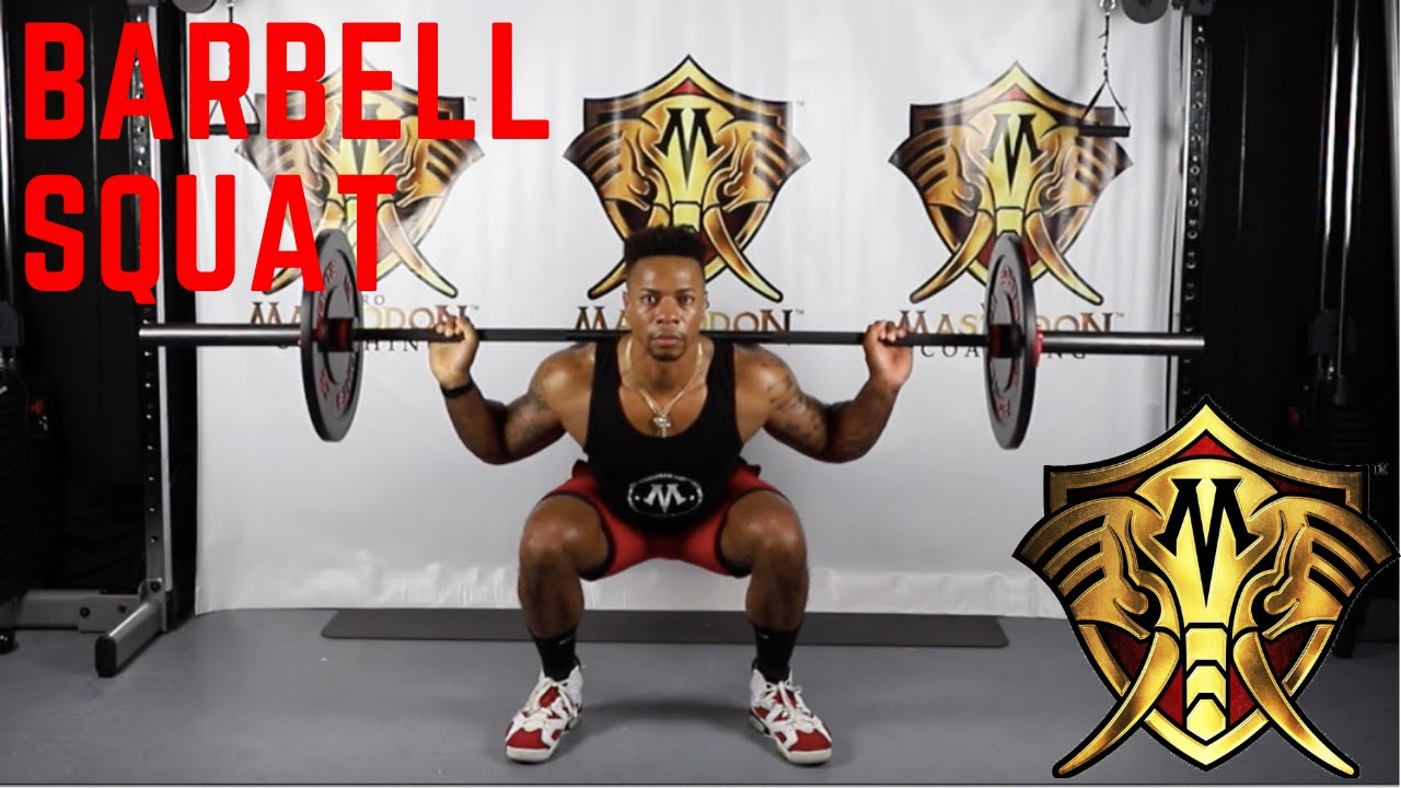 Barbell Squat Tutorial Proper Form Youtube
