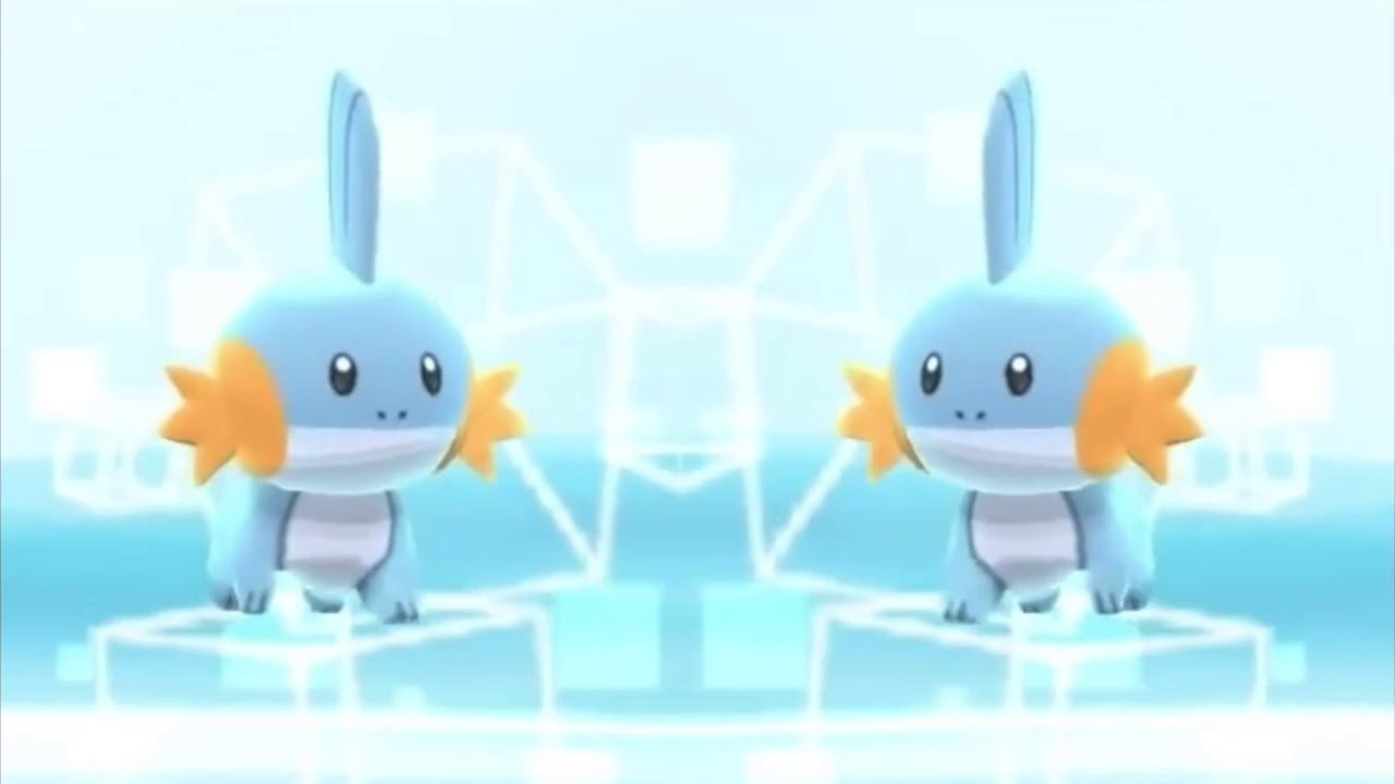 Mudkip Walk 1 Hour Youtube