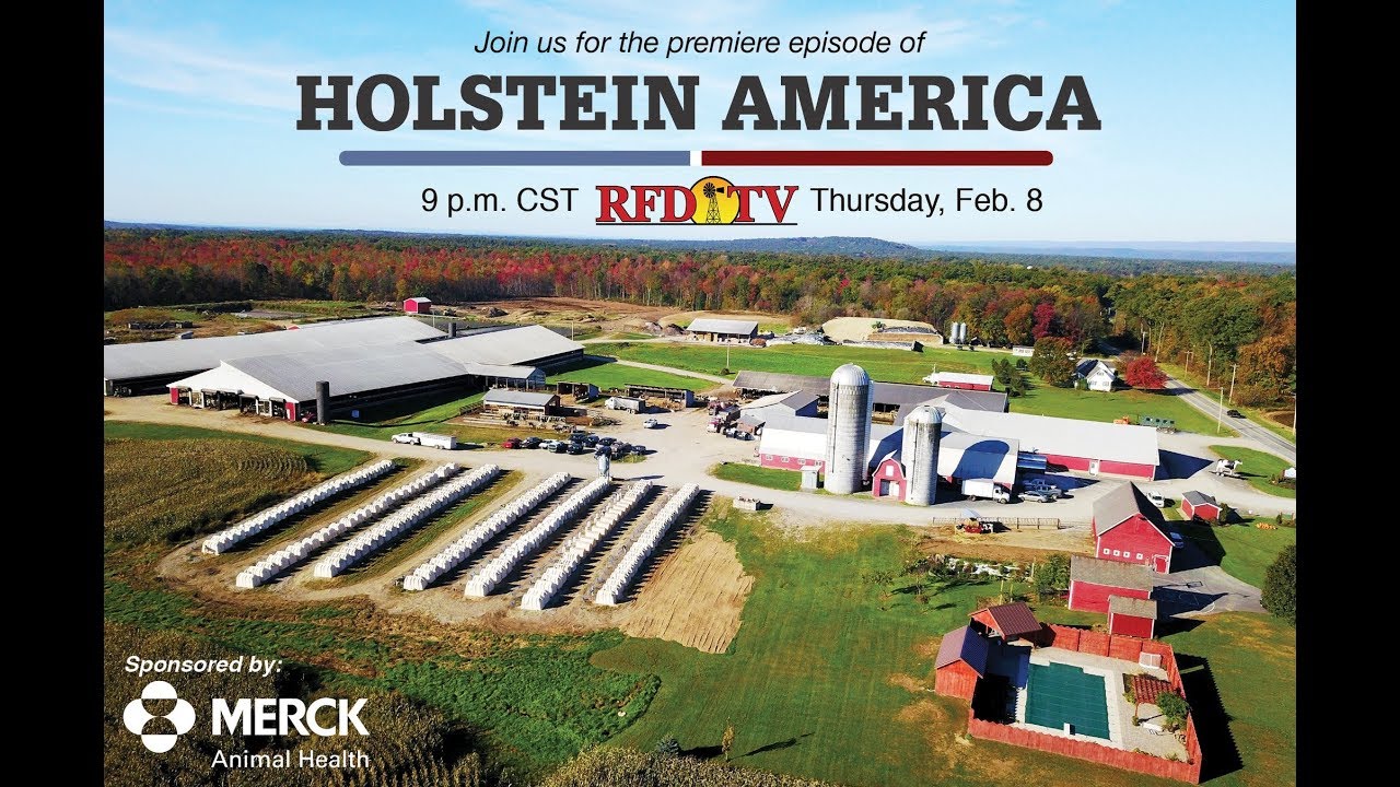 What S Up At Holstein Usa Holstein America On Rfd Tv Youtube