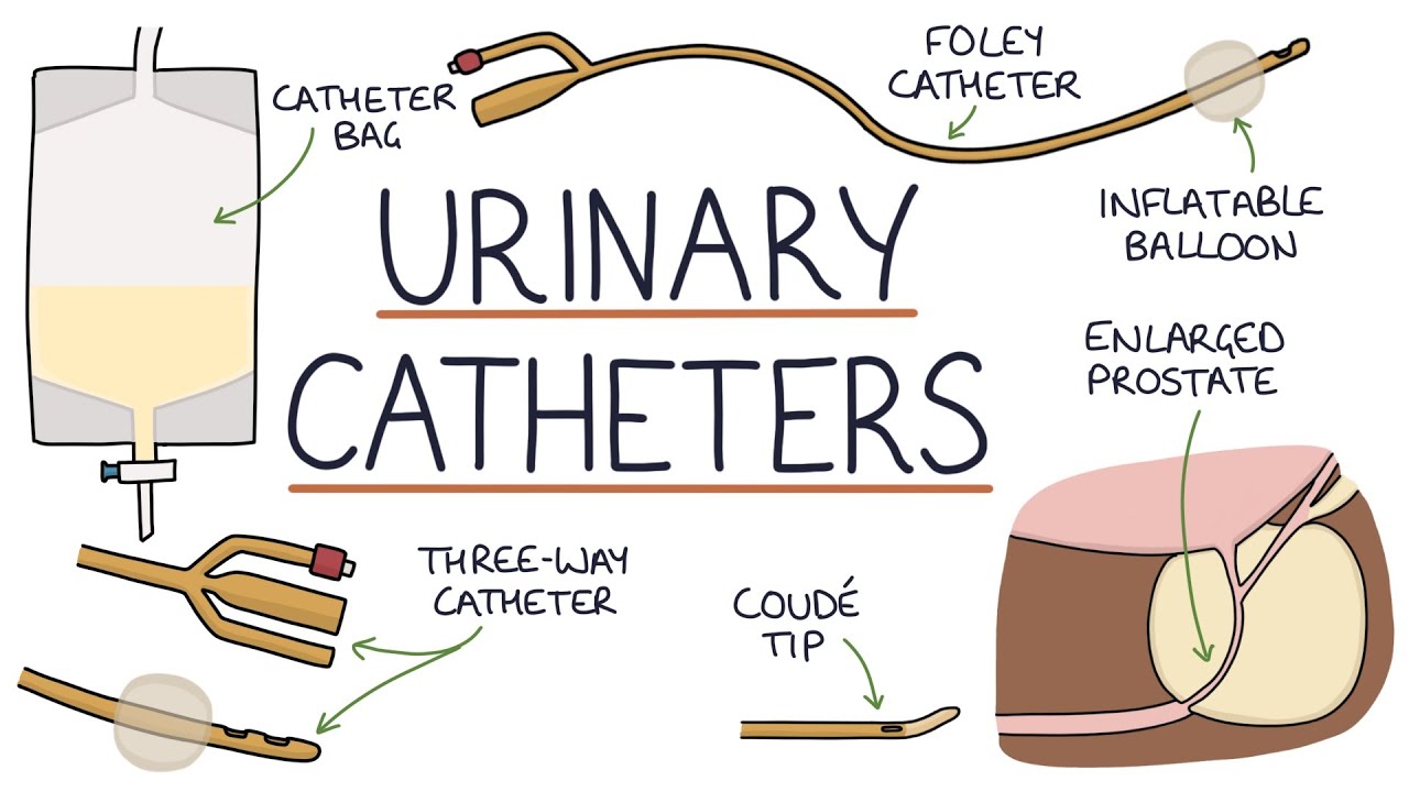 Urinary Catheters Youtube