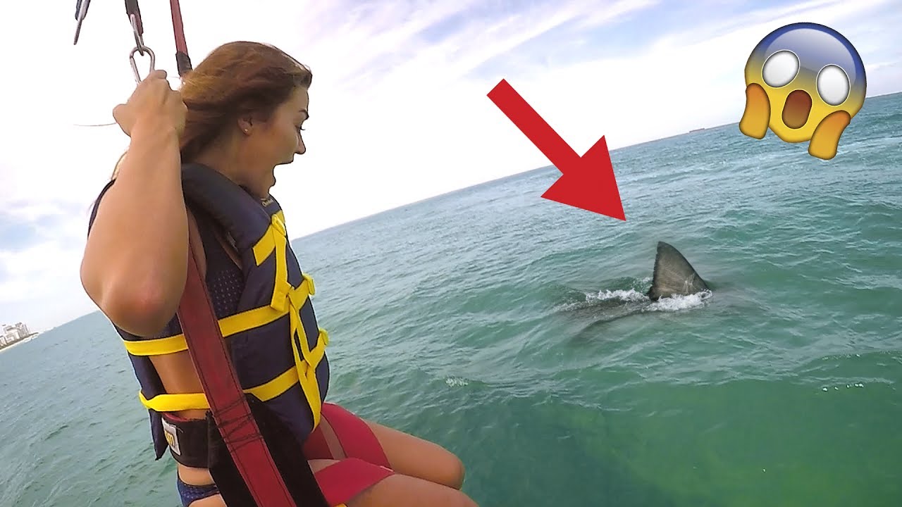 Shark Attack Prank Wife Freakout Youtube