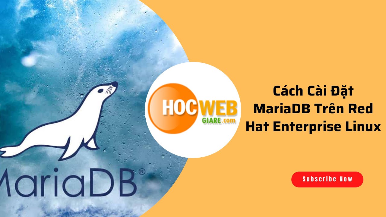 Cﾃ Ch Cﾃ I ﾄ雪ｺｷt Mariadb Trﾃｪn Red Hat Enterprise Linux Youtube
