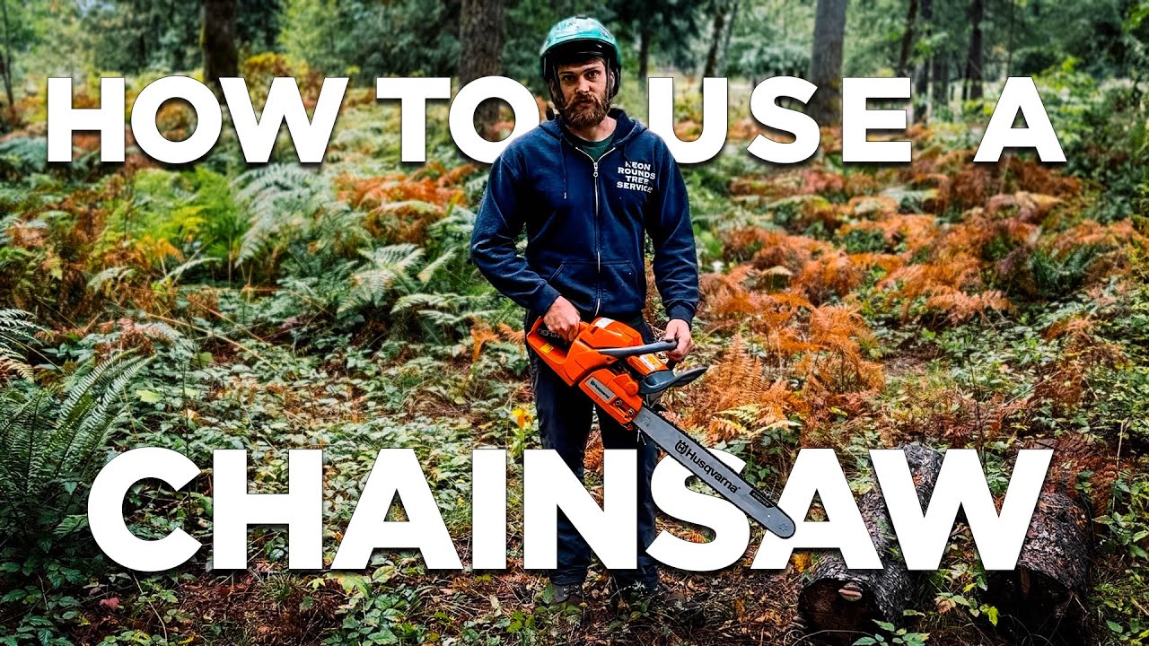 Worlds Best Chainsaw Tutorial Everything You Need To Know About Owning