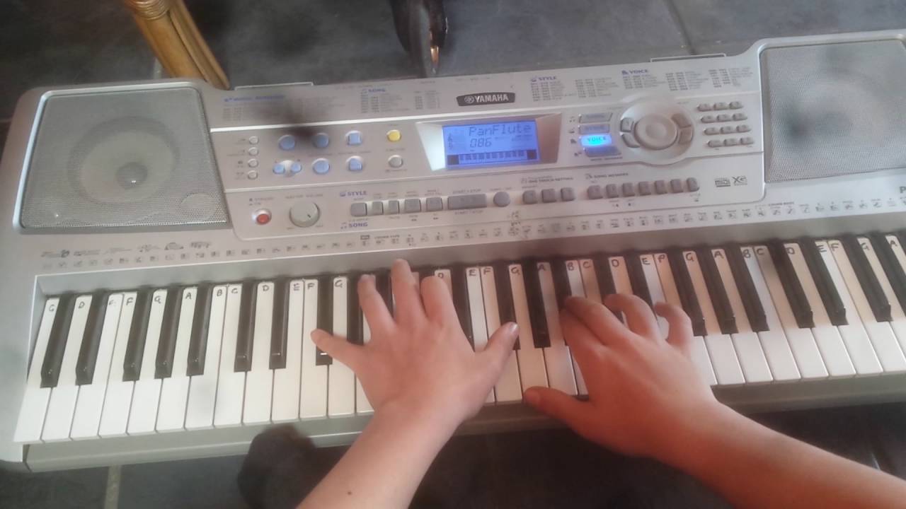 Edit X Python Playing Piano Youtube
