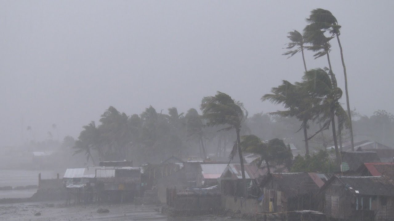 Howling Wind Lashing Rain 4k Footage Screen Typhoon Hagupit