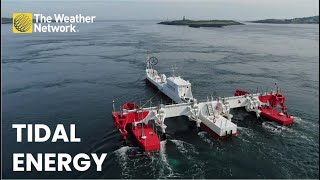 Onboard The Innovative Floating Tidal Energy Project In Nova Scotia The ...