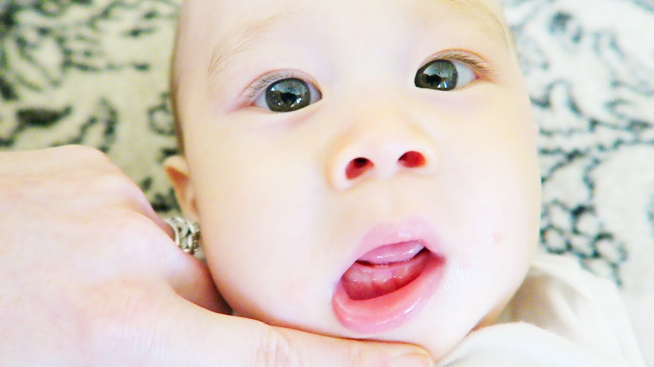 Are Babies First Teeth Sharp At Paige Brown Blog