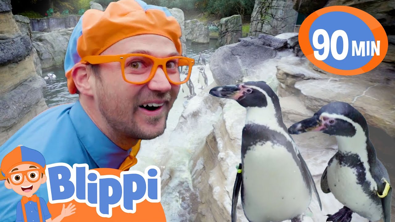 At The Penguin Zoo With Blippi Blippi And Meekah Best Friend