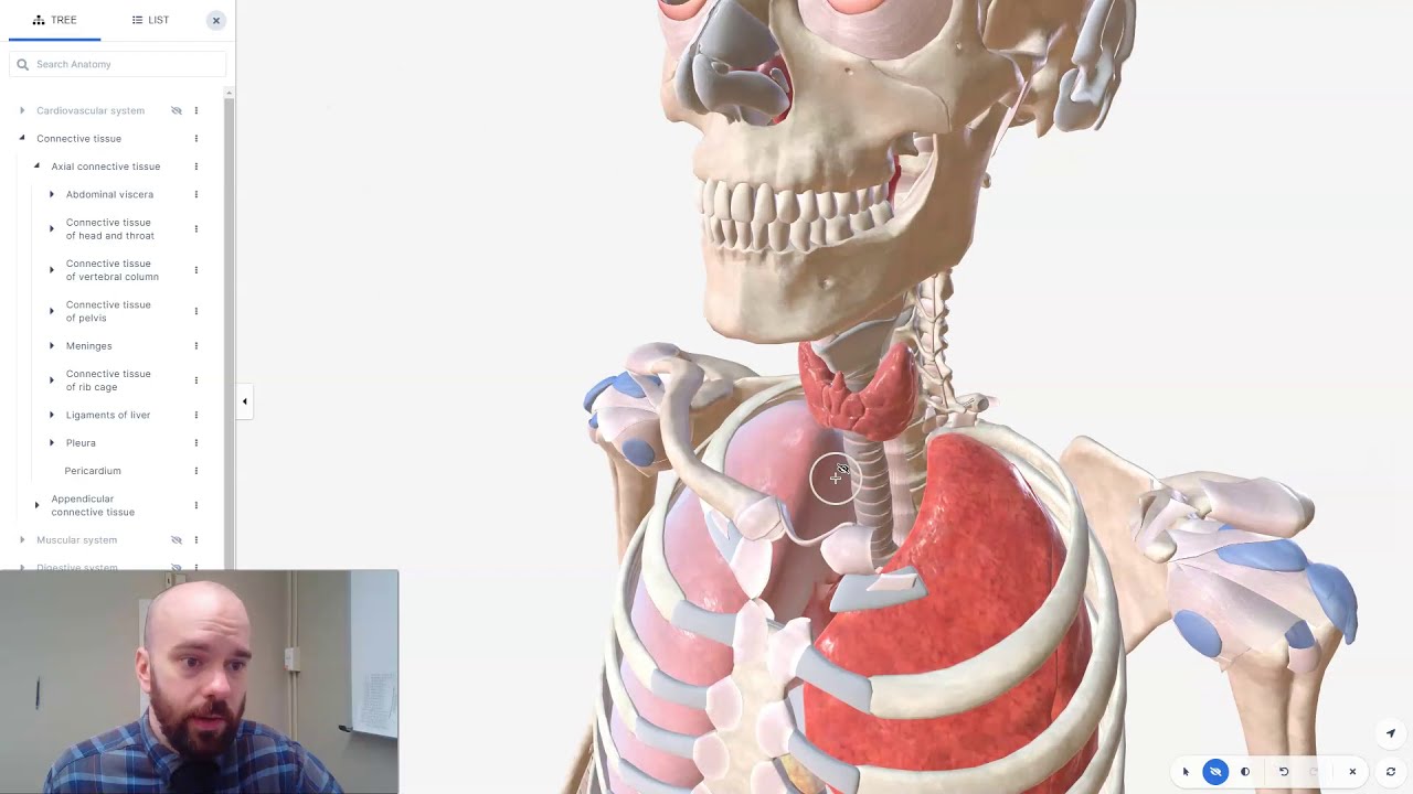 Make Awesome Anatomical Images Using Biodigital Free Youtube