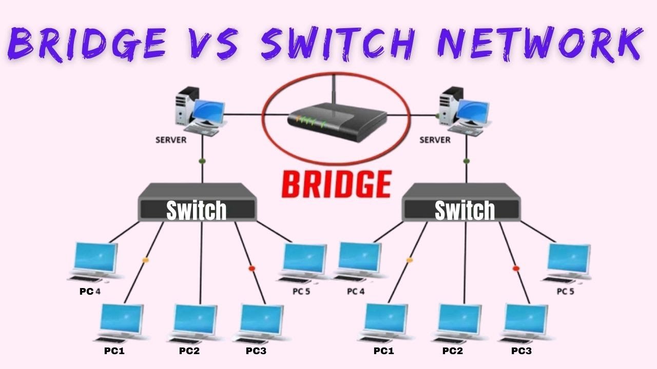 Hubs Switches And Bridges At Roberto Garnett Blog
