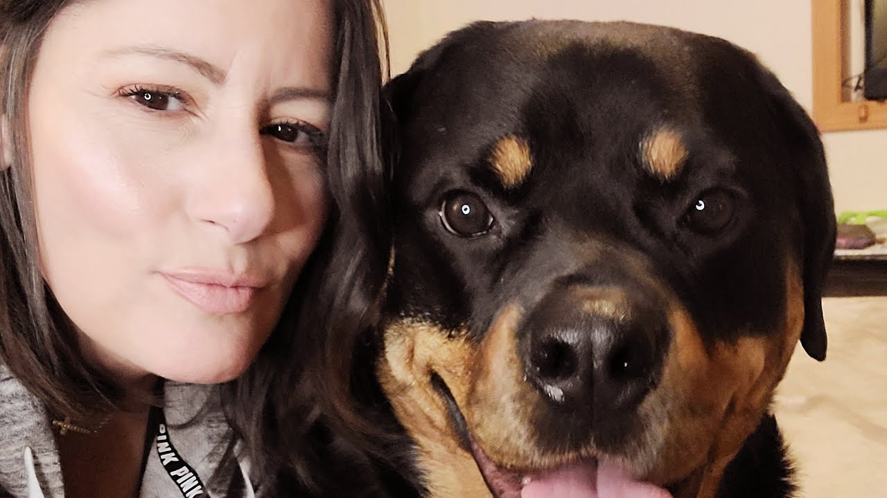 Tuesday Night Youtube